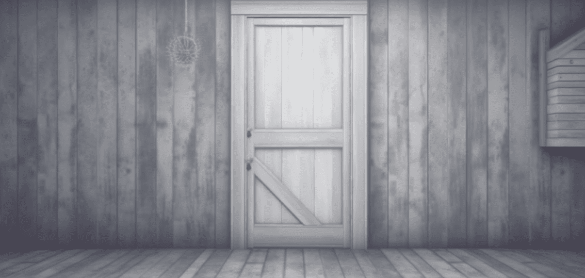 What Are Custom Barn Doors? Unlocking the Charm of Personalized Design